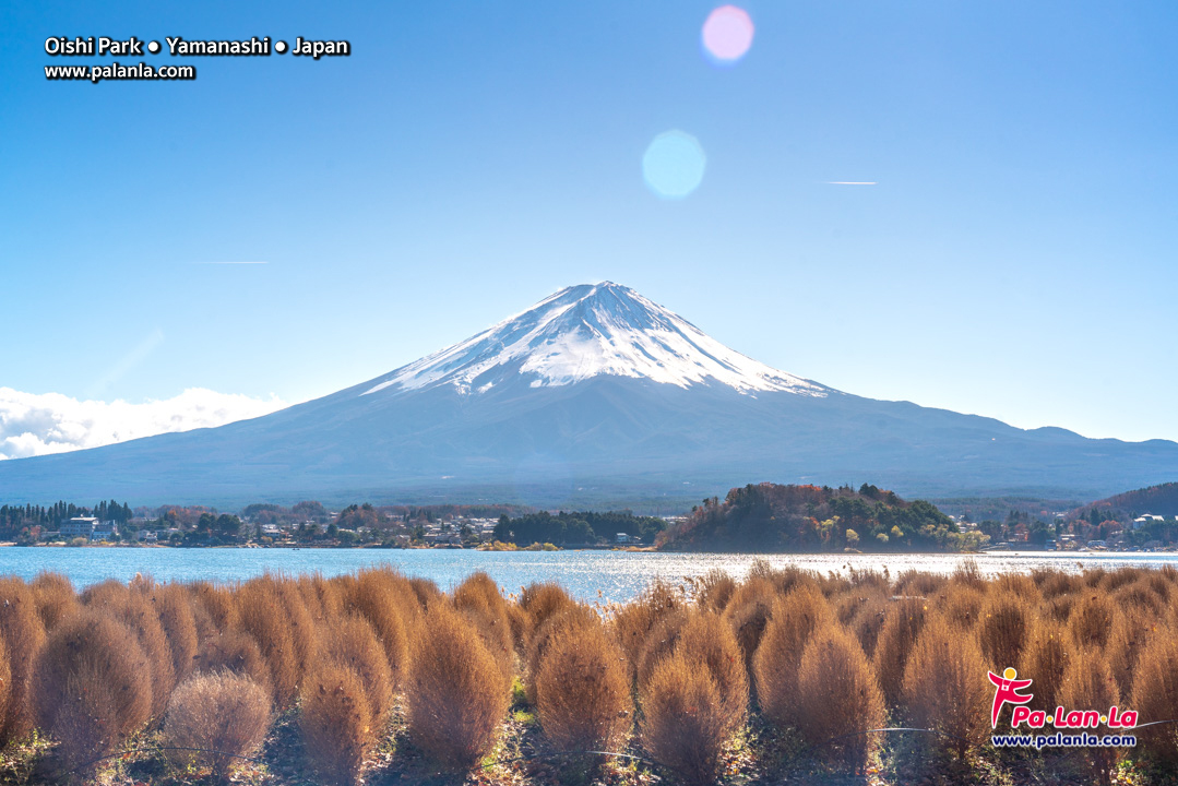 สวนโออิชิ จังหวัดยามานาชิ ประเทศญี่ปุ่น - เพื่อนที่จะพาคุณไปสัมผัสมุมสวยๆ ของทุกสถานที่ท่อง ...